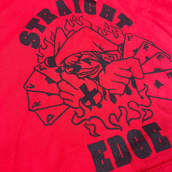Vintage Straight Edge "Drug Free" Champion Pull Over Hoodie ...
