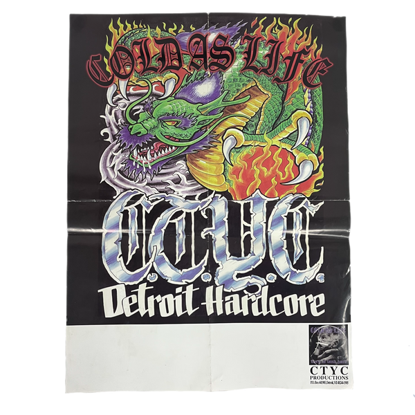 Vintage Cold As Life Detroit Hardcore "Born To Land Hard" Poster ...