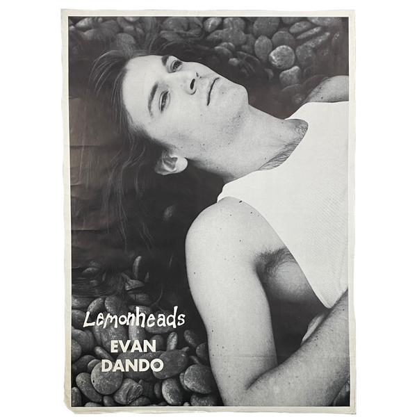 Vintage Lemonheads "Evan Dando" Poster - jointcustodydc